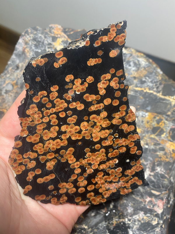 Peanut Obsidian | ANDERSON STONES